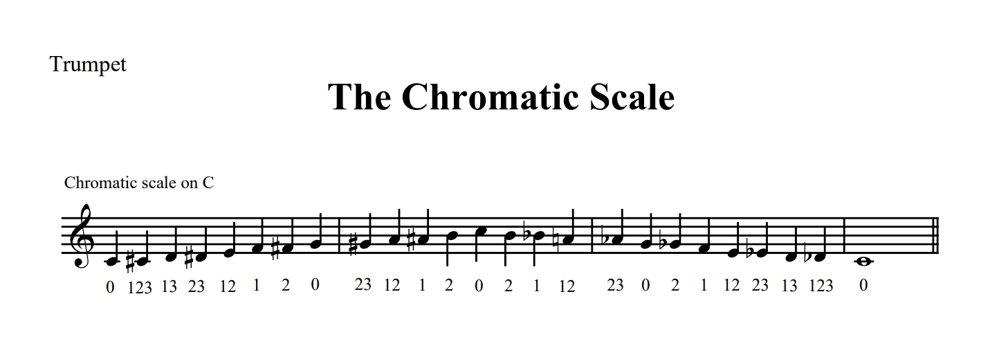 Shailesh - Online Music Portfolio (Sheet Music) - www.theTuningNote.com