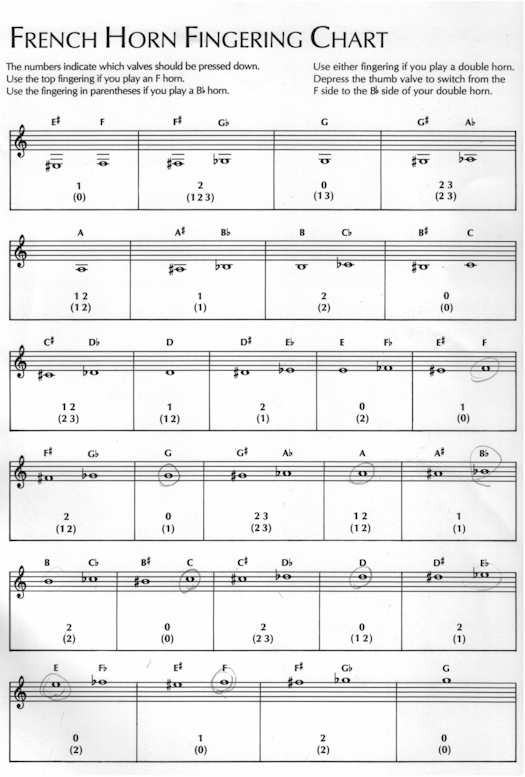 Fingering Charts for the French Horn - www.theTuningNote.com